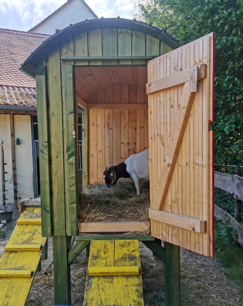 Ziegenstall – Der Holz Hannes